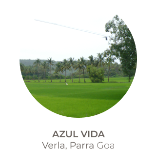 Azul Homes: Luxury Real Estate Developers